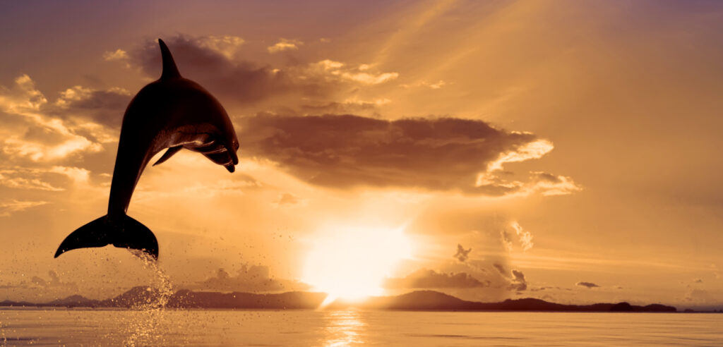 Coaching for Conscious Transformation & Self-liberation